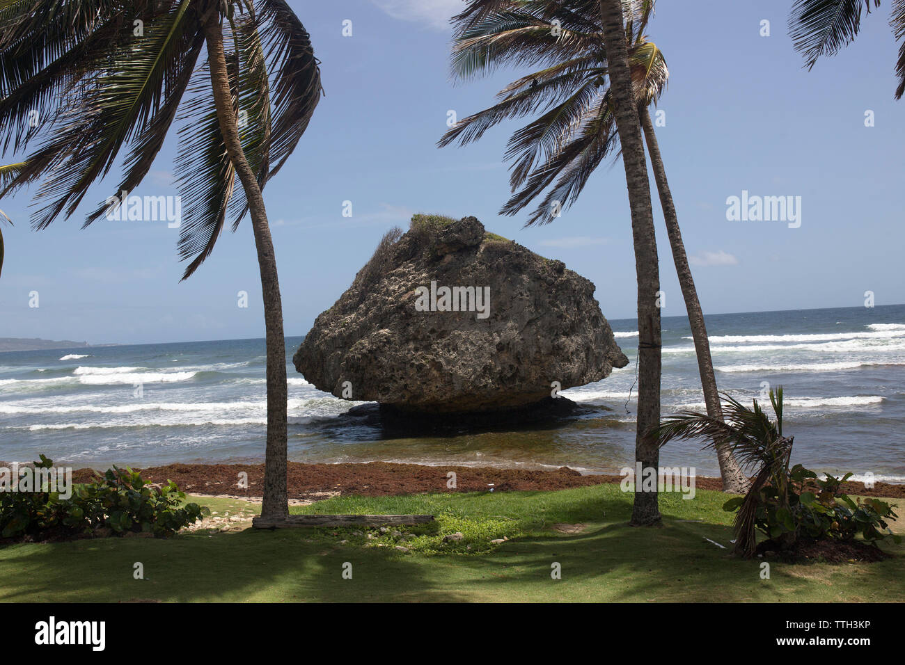 Barbados tropical beach hi-res stock photography and images - Alamy