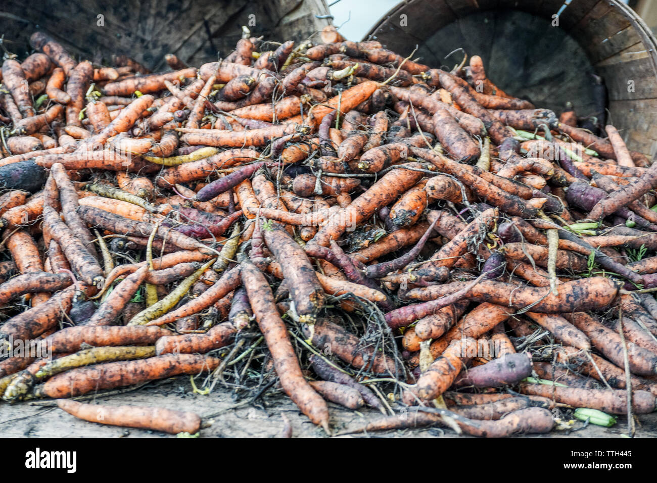 Organic carrots on market hi-res stock photography and images - Alamy