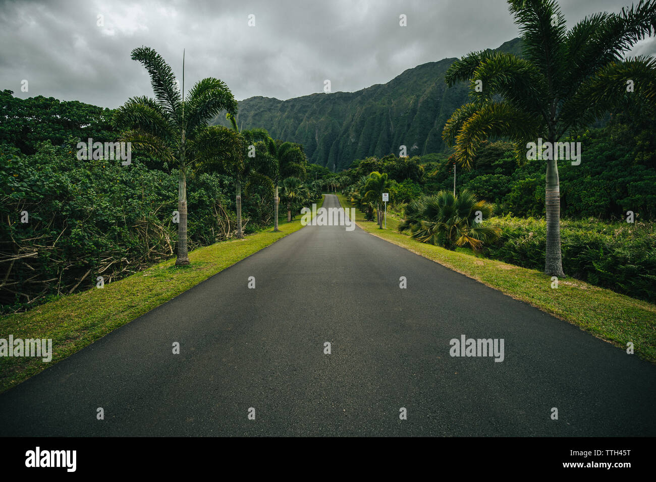 Botanical Garden road Stock Photo - Alamy