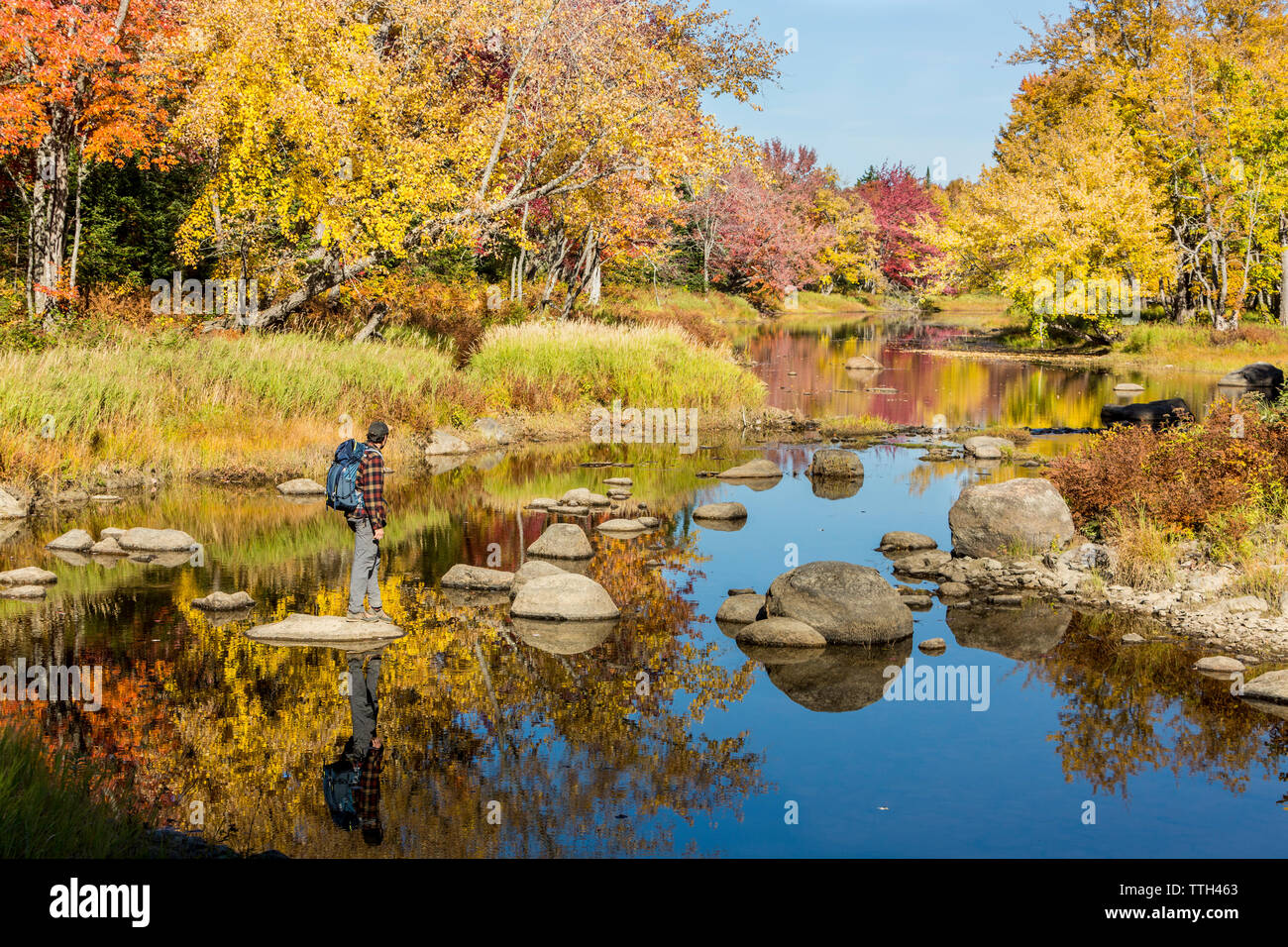 Fall foliage in northern new hi-res stock photography and images - Alamy