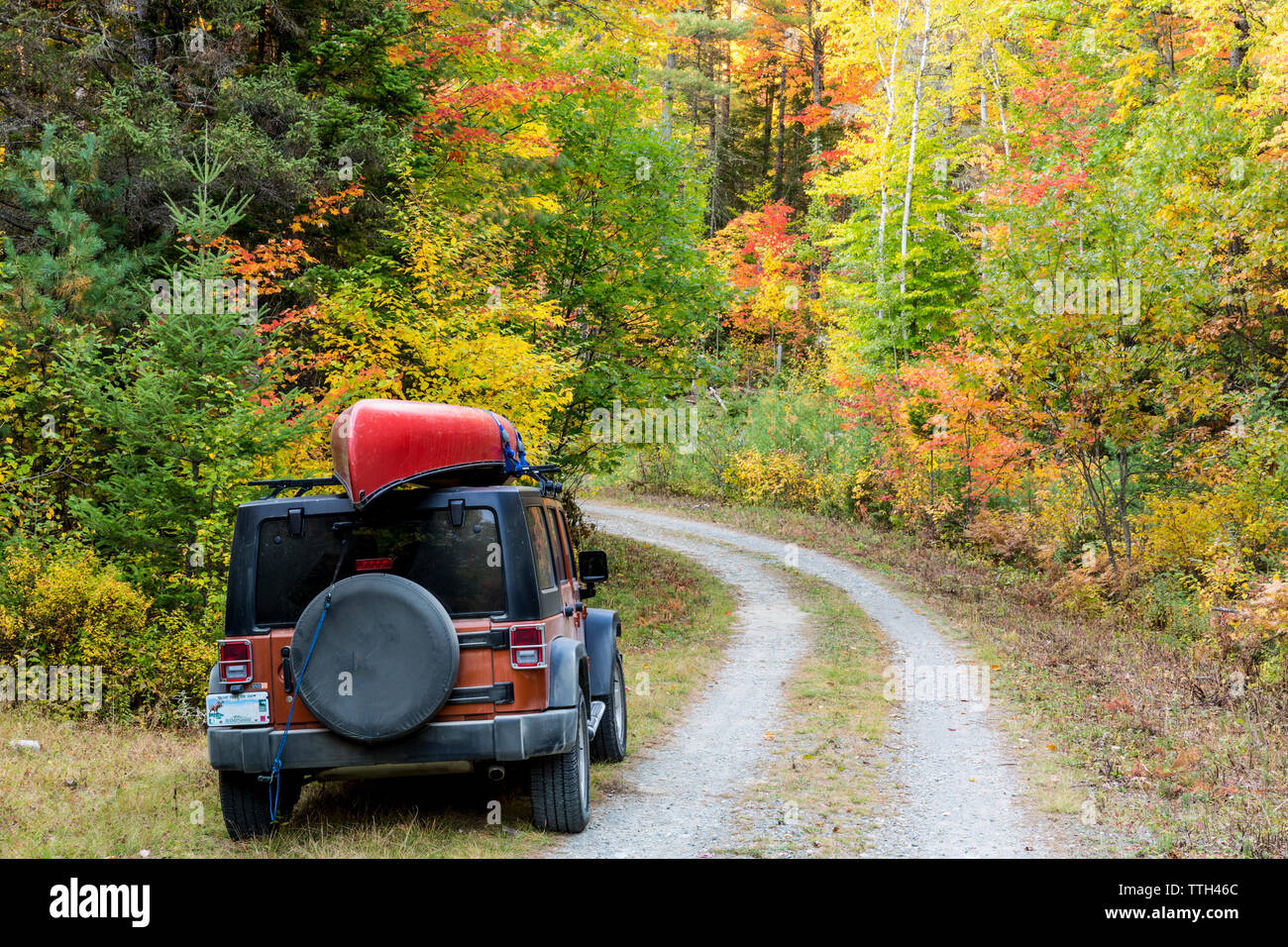 Jeep on a woods road in Maine's Northern Forest. Fall Stock Photo - Alamy