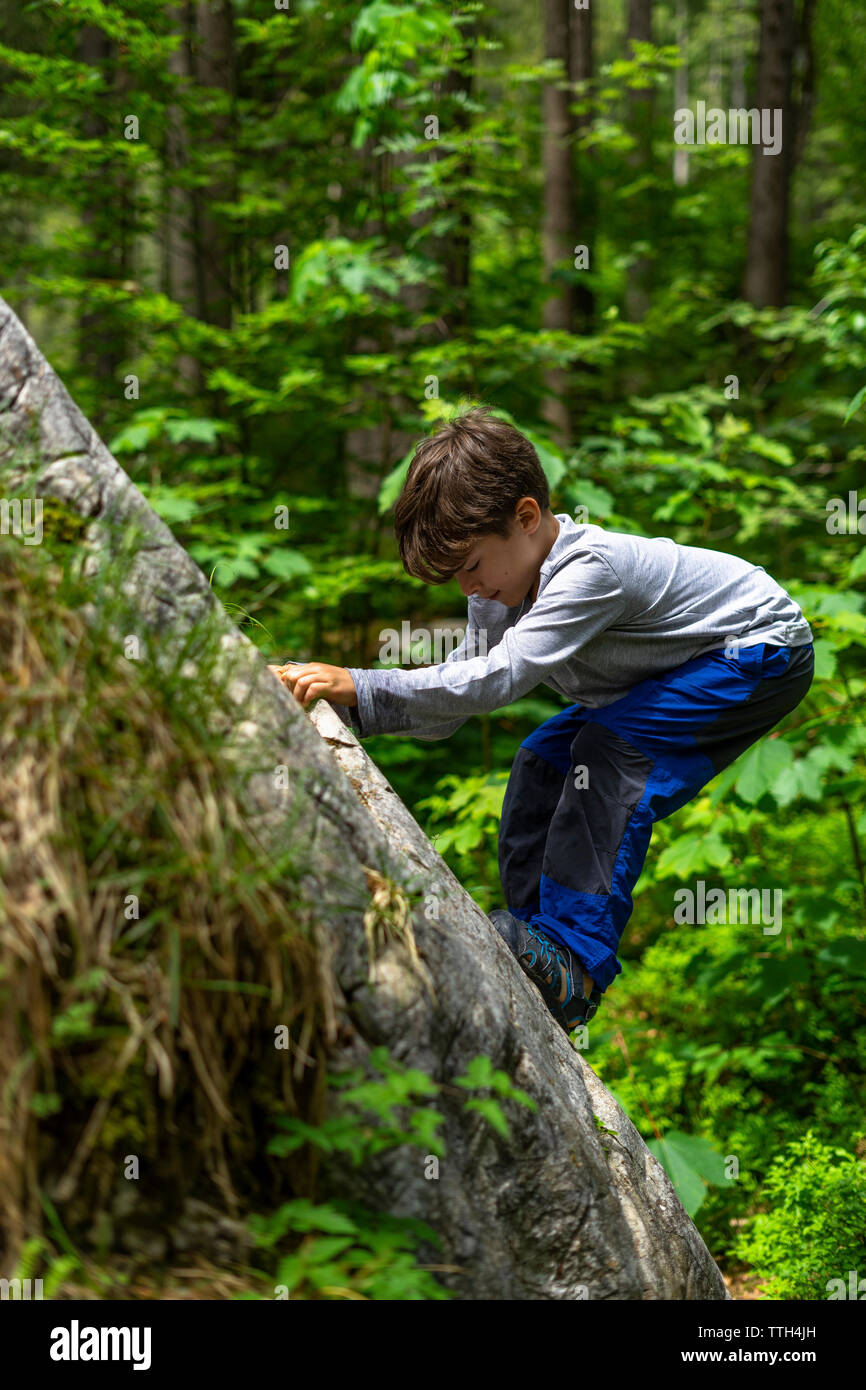 Young boy climbing a rock during a hike in the alpine forest Stock ...