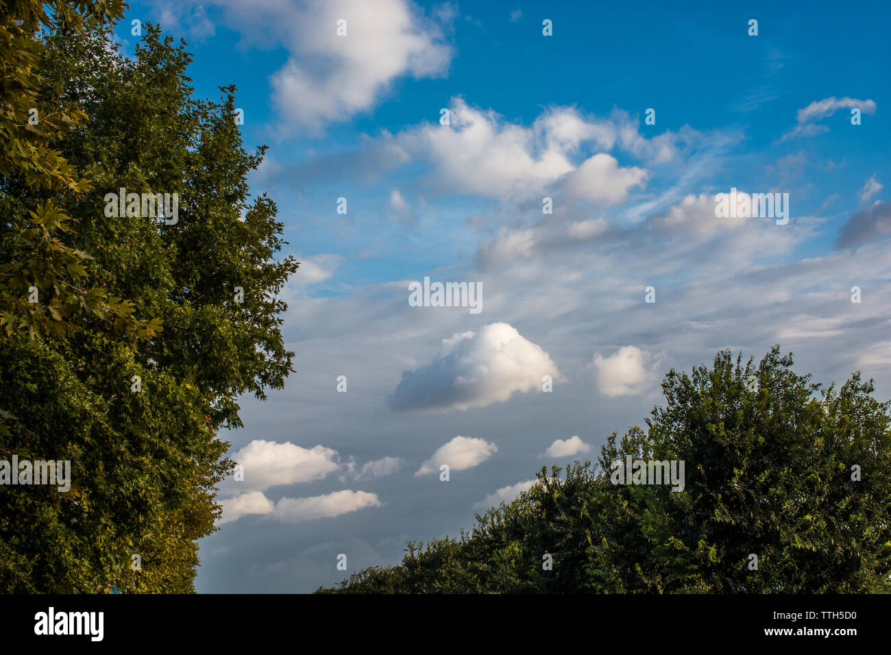 Sky background with clouds as nature texture Stock Photo - Alamy
