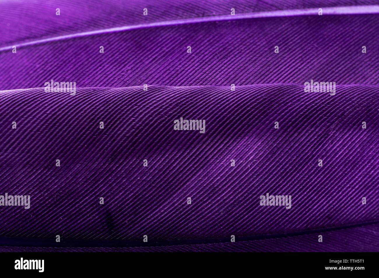 Parrot feathers close up hi-res stock photography and images - Alamy