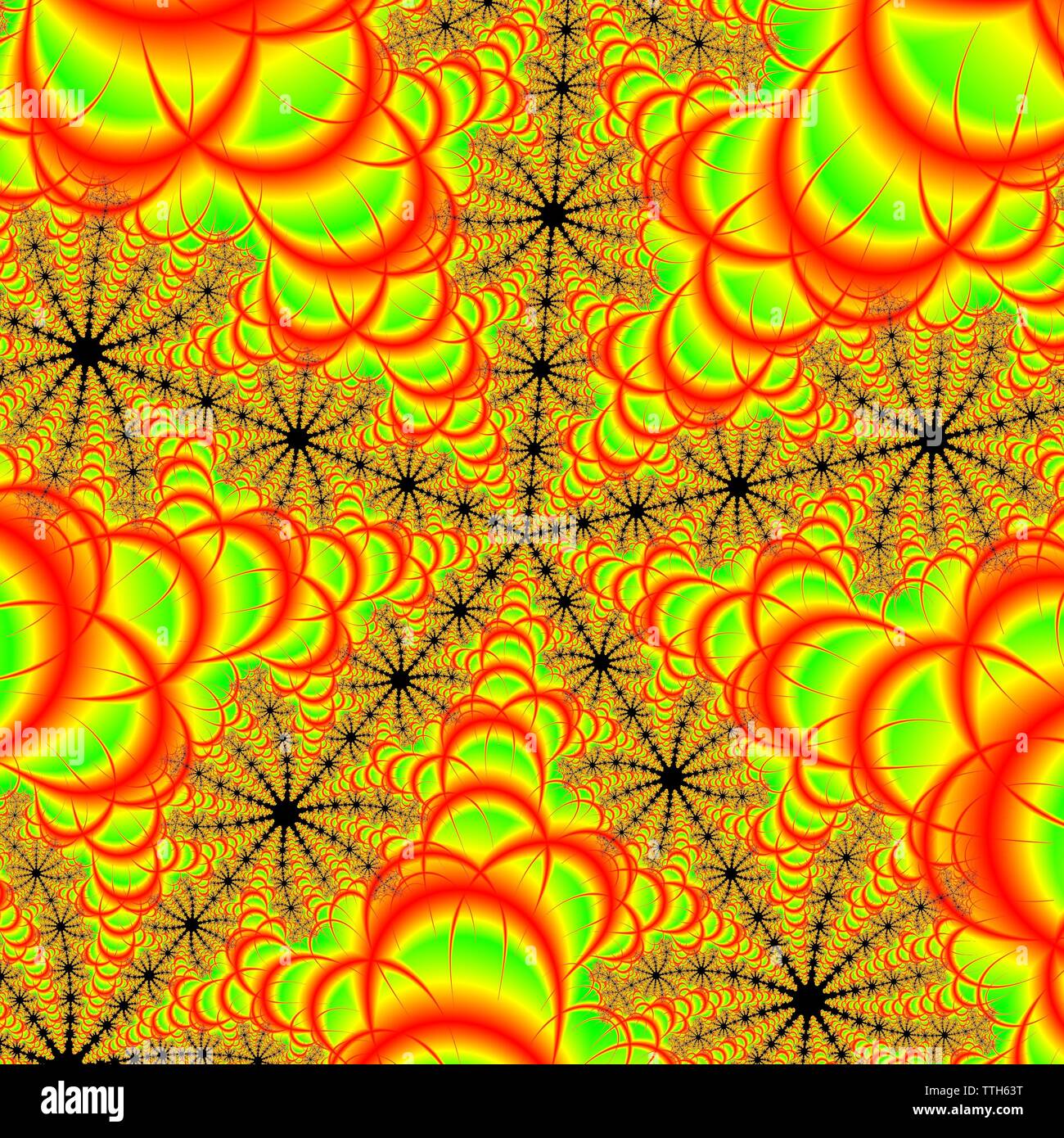 An image created using computer graphics of a mathematical object ...