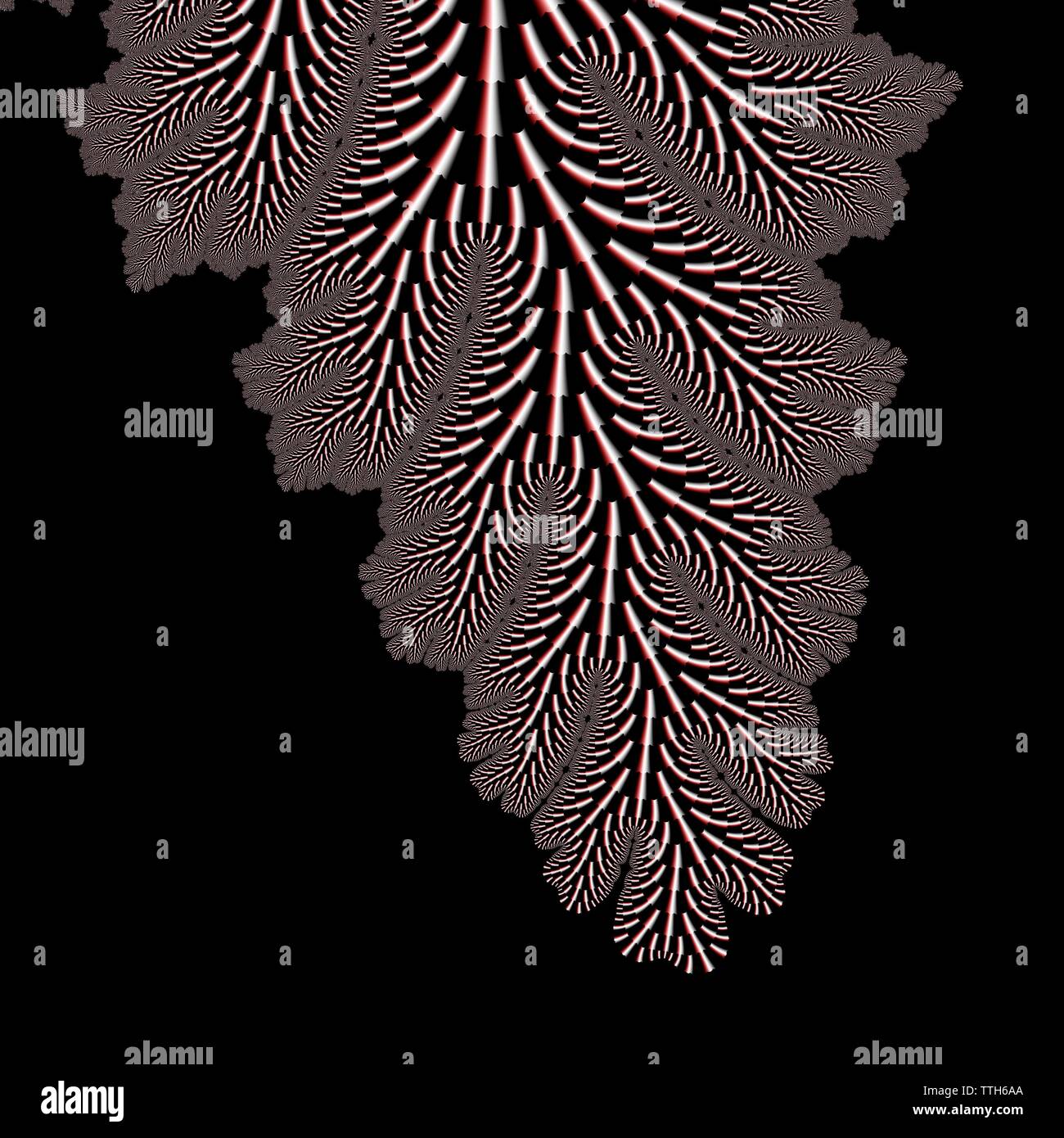 An image created using computer graphics of a mathematical object ...