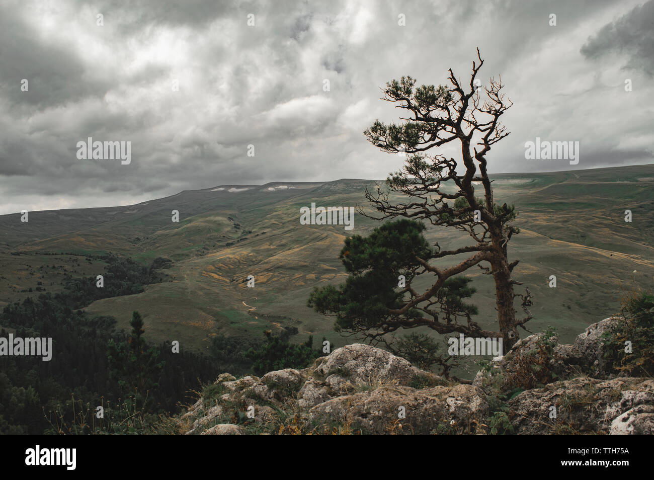 Lago naki plateau hi-res stock photography and images - Alamy