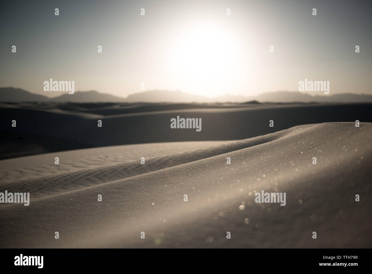Sand dune striations in high contrast in mid-day lighting, even focus ...