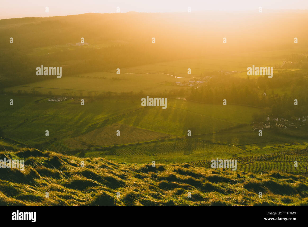 Golden sunset over farm fields Stock Photo - Alamy