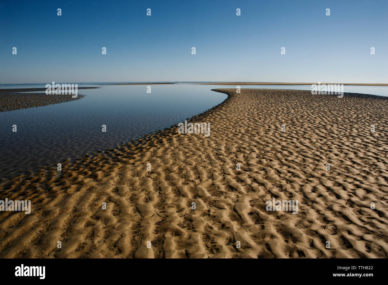 Low tide on sunny day at Harbor Island South Carolina Stock Photo - Alamy