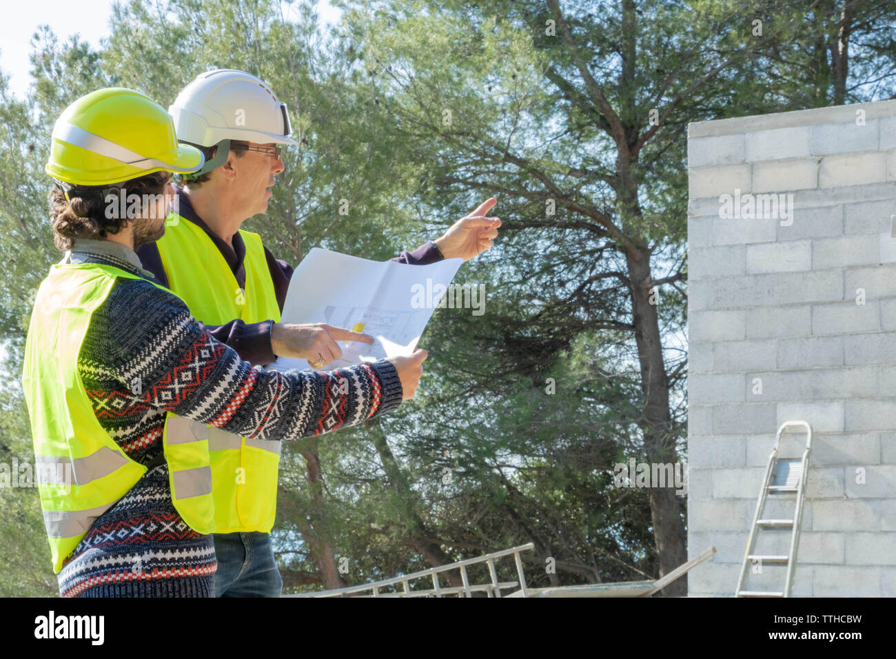 Expert in building and pathology of building, building engineering ...