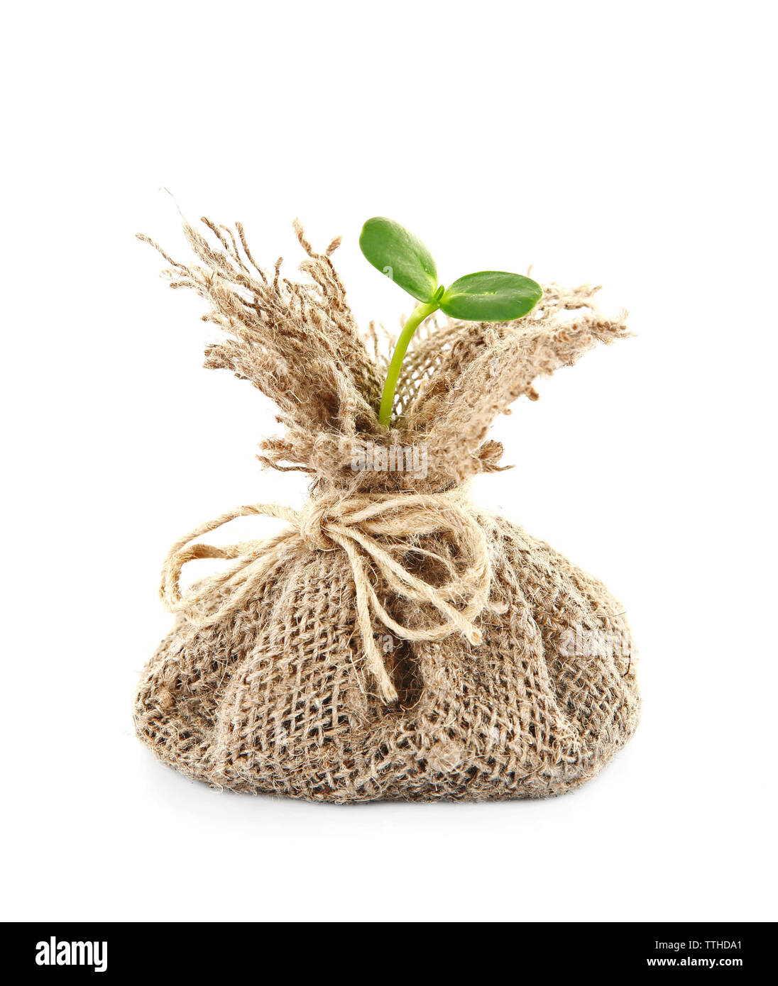 Young plant in a bag isolated on white Stock Photo - Alamy