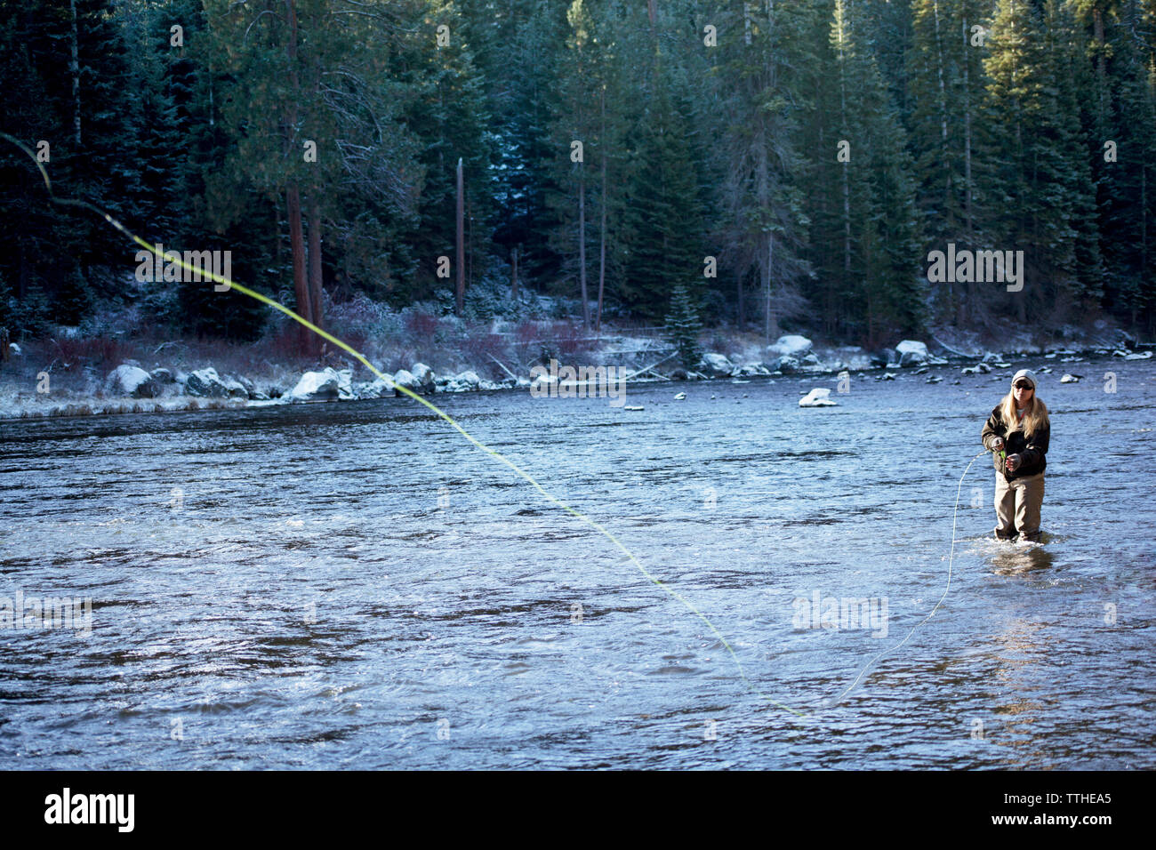 Woman fishing in lake against trees at forest Stock Photo - Alamy