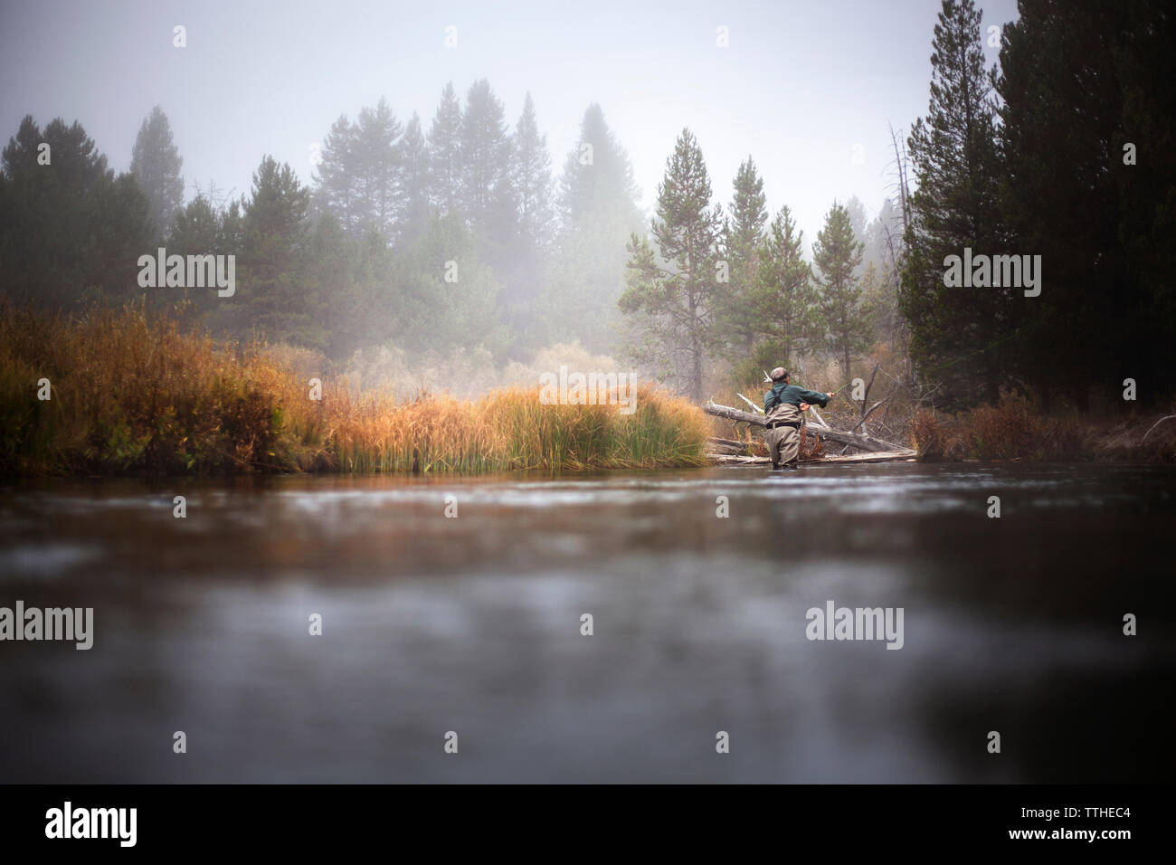 Environment fishing forest hi-res stock photography and images - Alamy