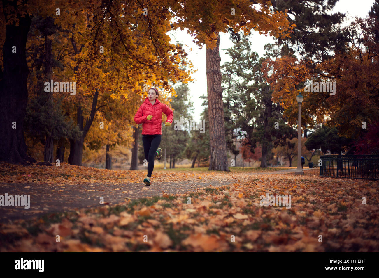Jogging pathway hi-res stock photography and images - Alamy