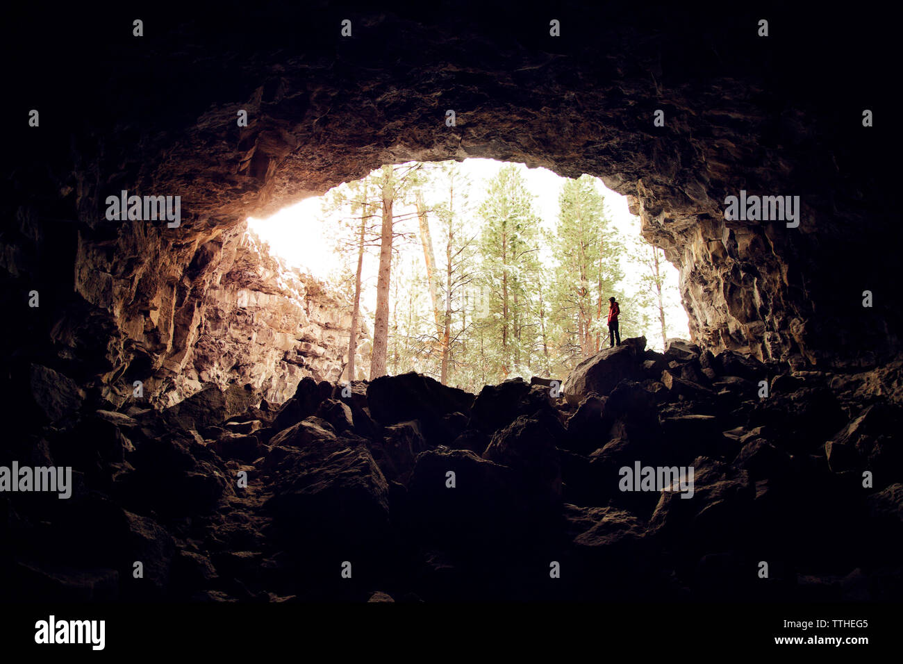 Cave forest hi-res stock photography and images - Alamy