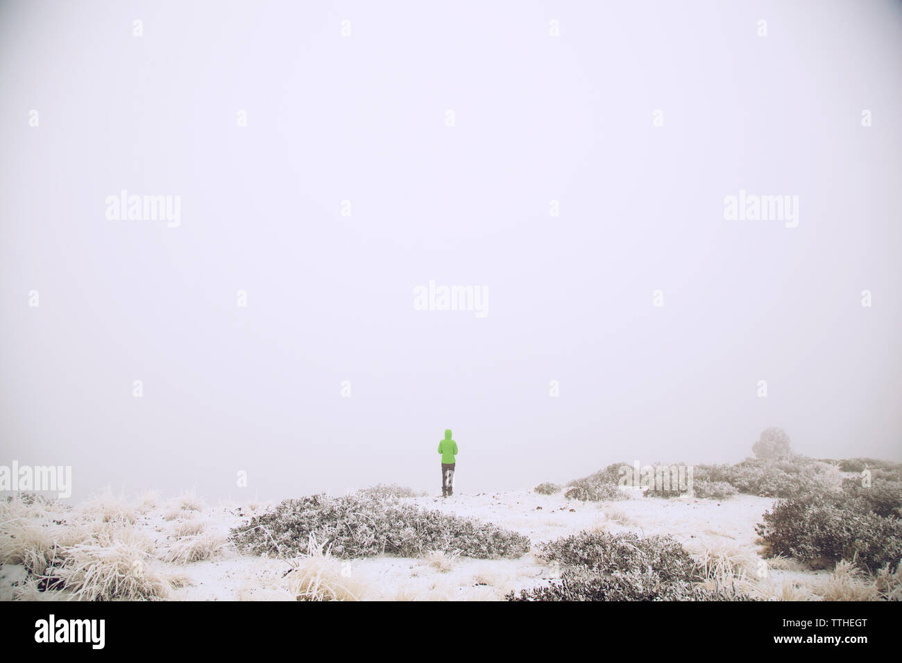 Young female explorer walking on hi-res stock photography and images ...