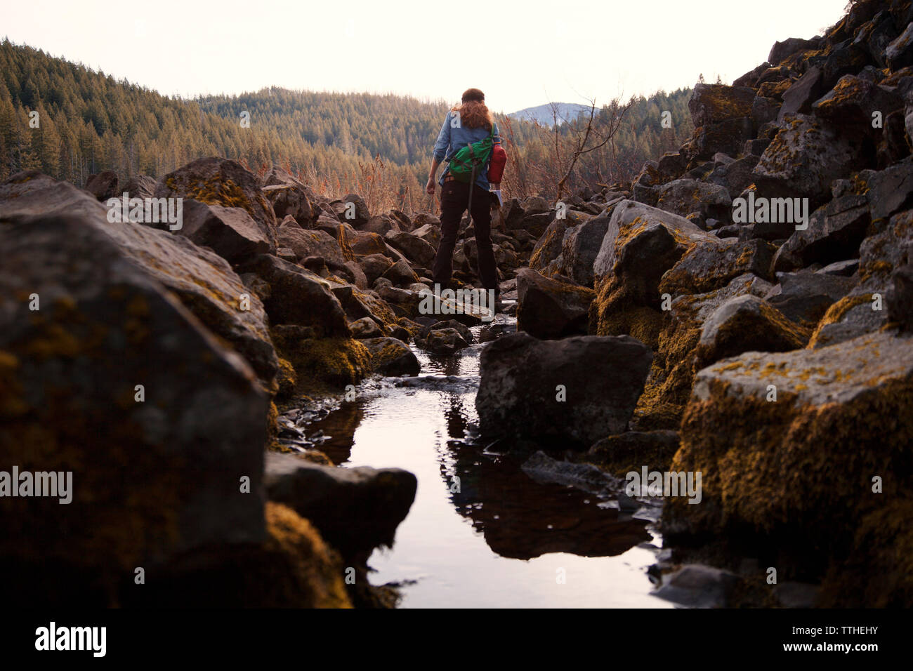 Rear view of hiker crossing stream amidst rocks in forest Stock Photo ...