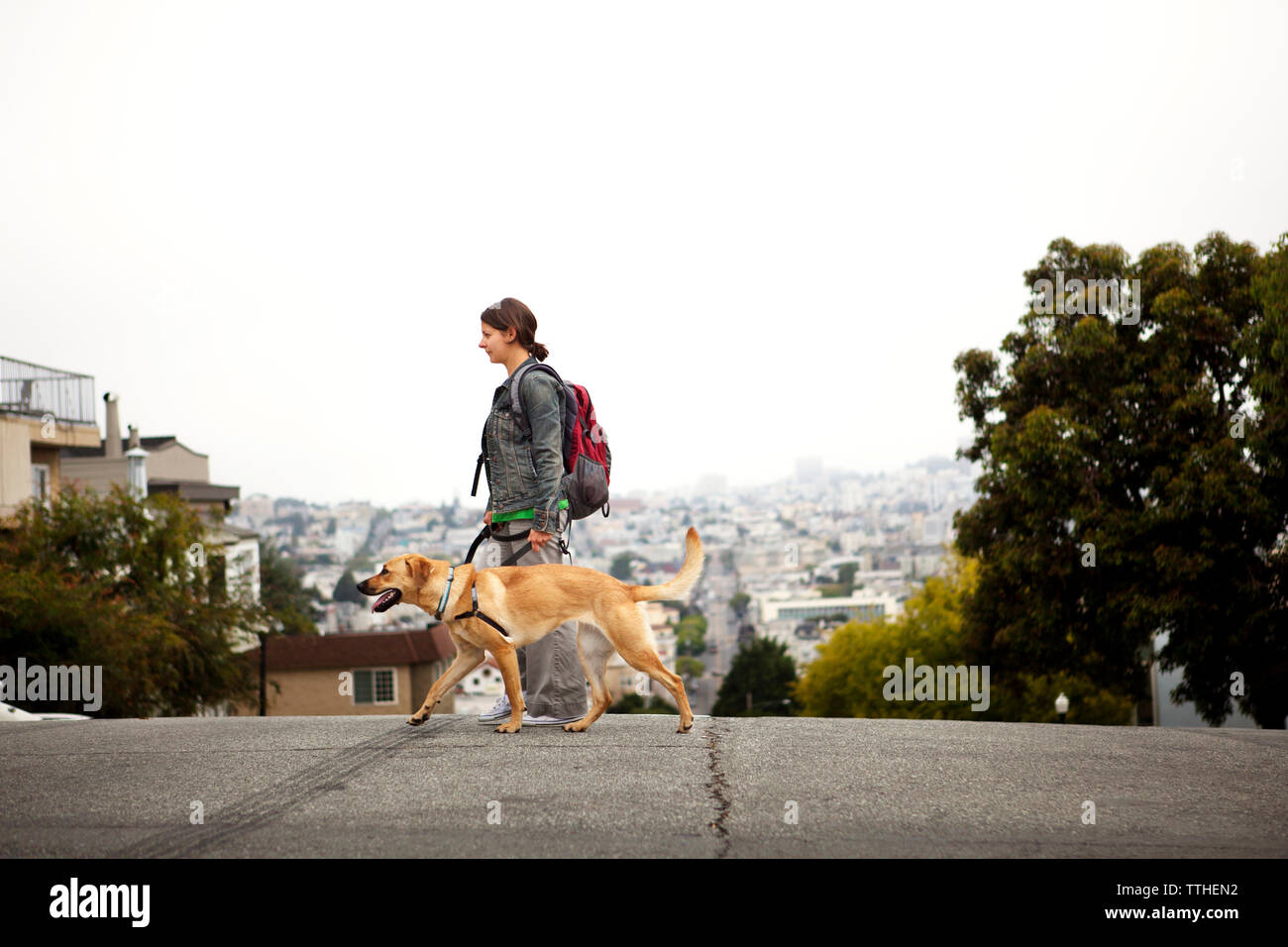 Cityscape dog hi-res stock photography and images - Alamy