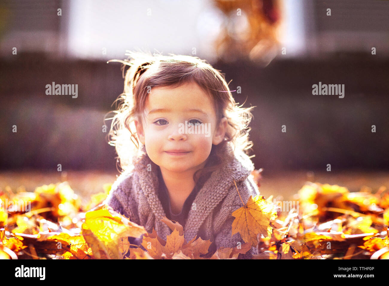 Messy field hi-res stock photography and images - Alamy