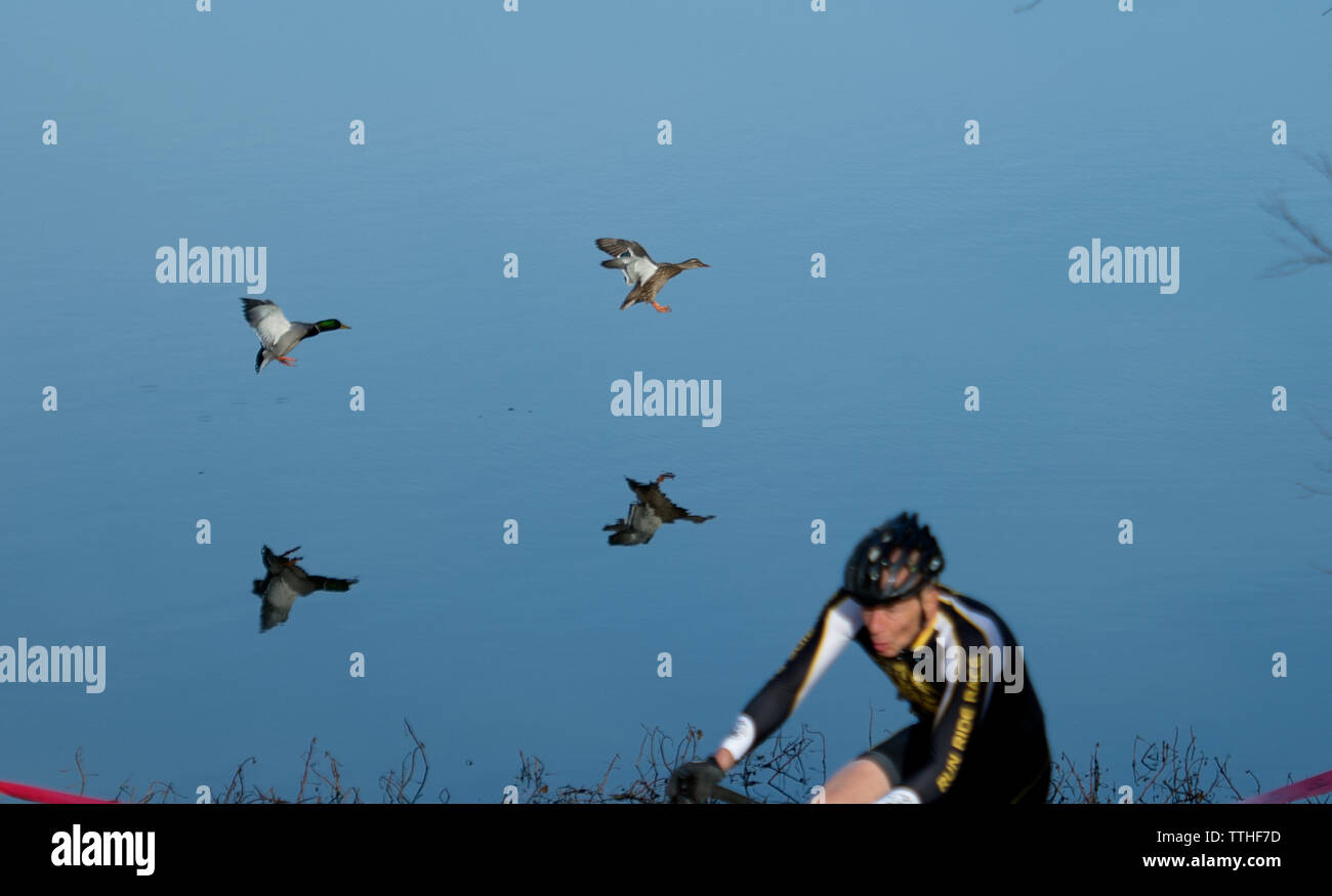 Capitol cross classic hi-res stock photography and images - Alamy