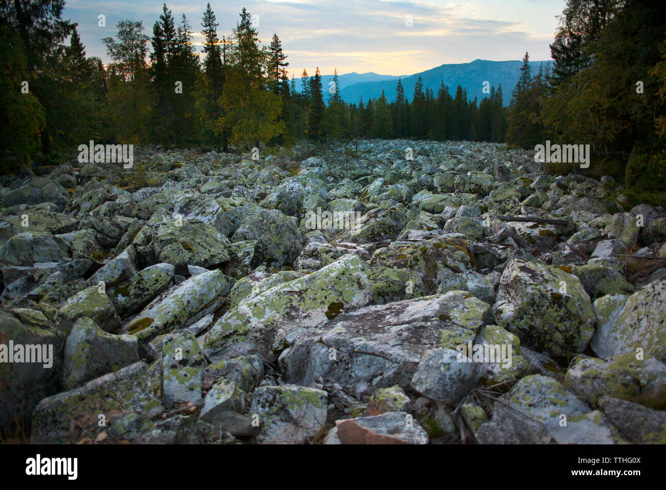 Trees and rocks in field hi-res stock photography and images - Alamy