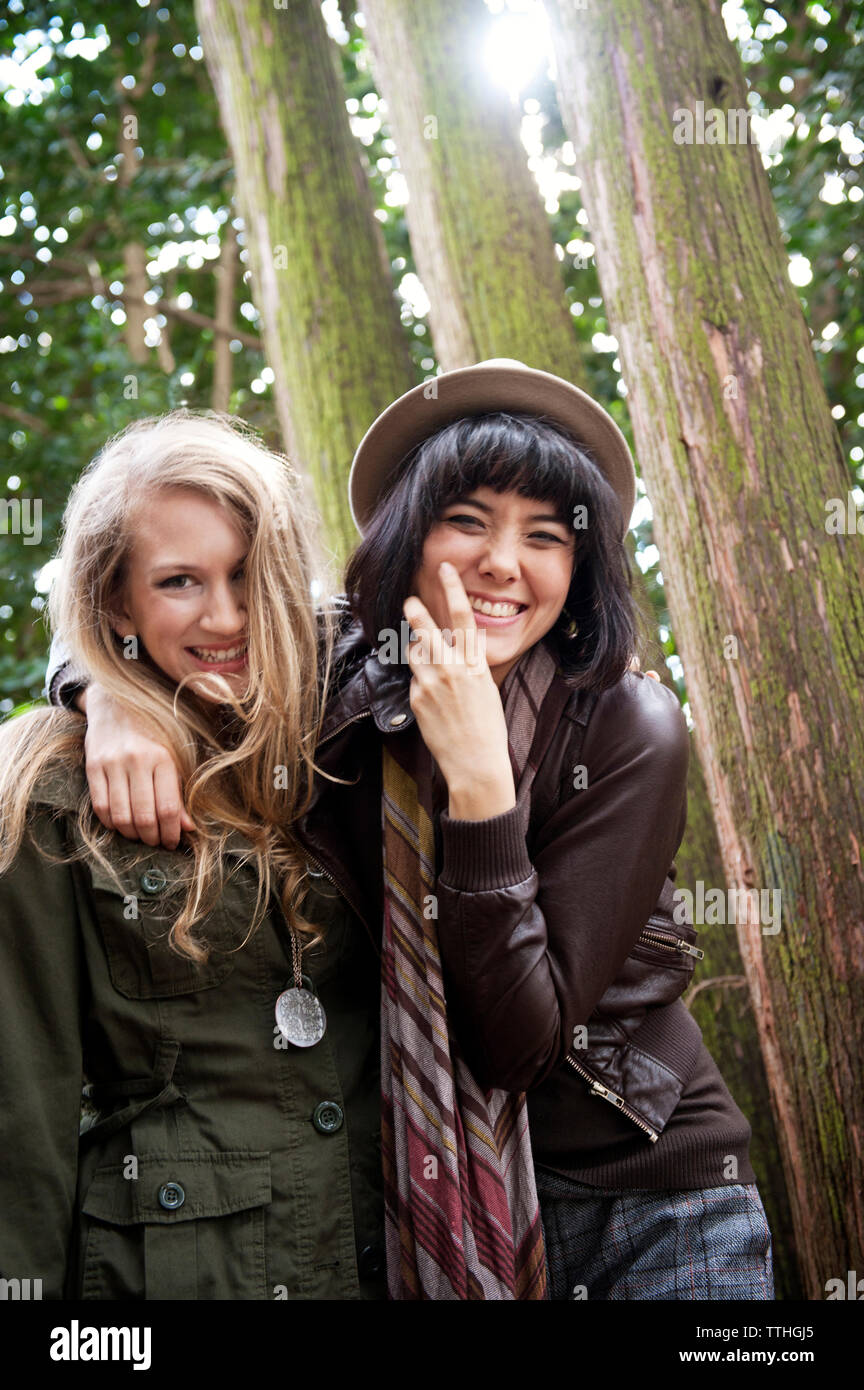 Portrait of happy female friends standing in forest Stock Photo - Alamy