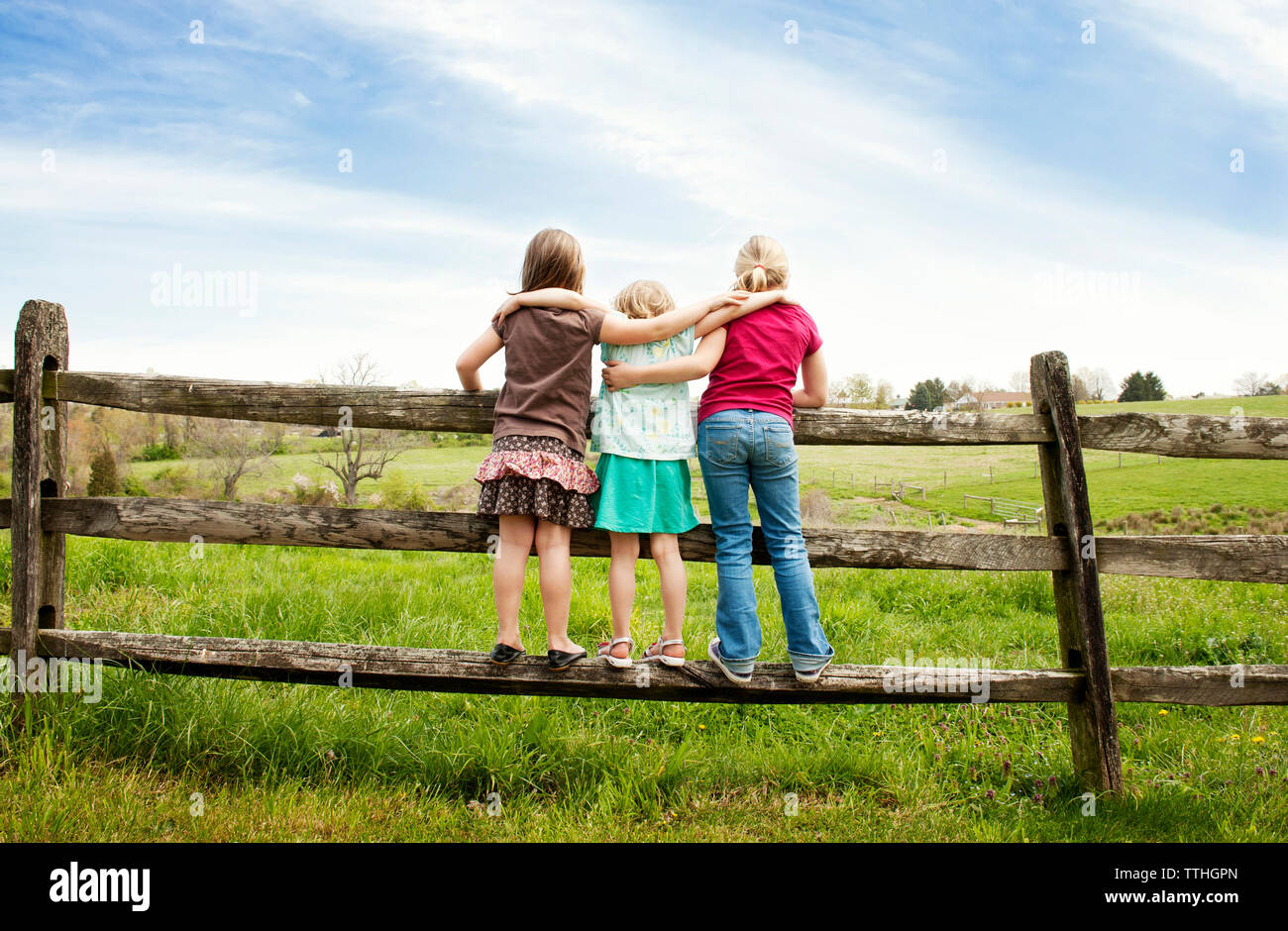 Rear view of girls standing on fence at grassy field against sky Stock ...