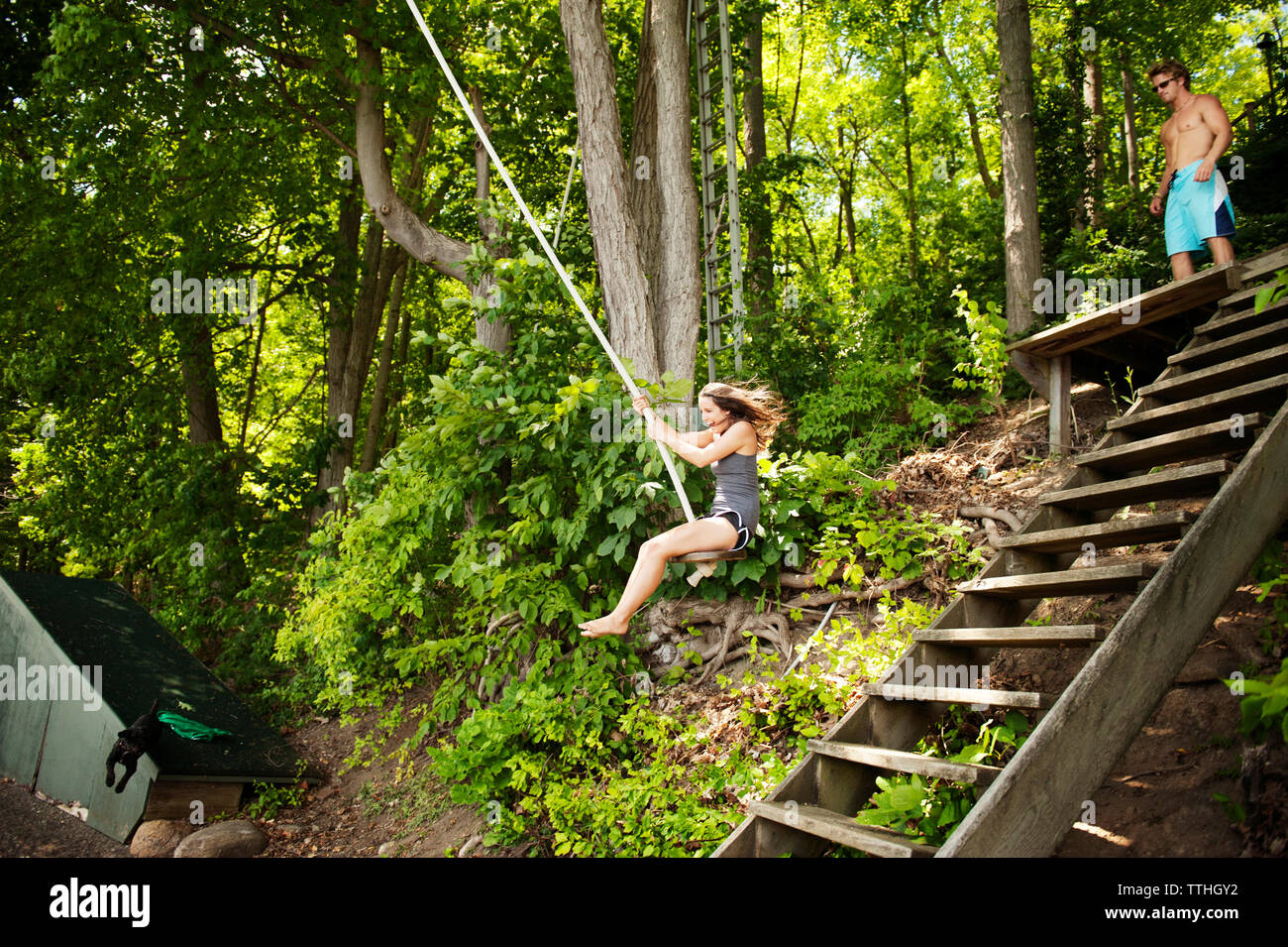 Rope swing in the new forest hi-res stock photography and images - Alamy