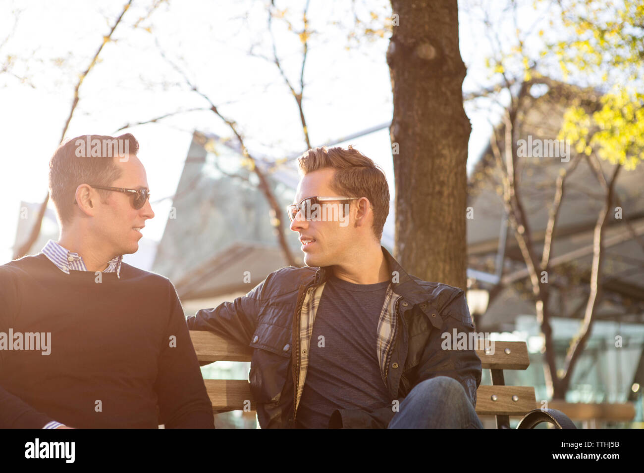 Friends talking while sitting on bench during sunny day Stock Photo - Alamy