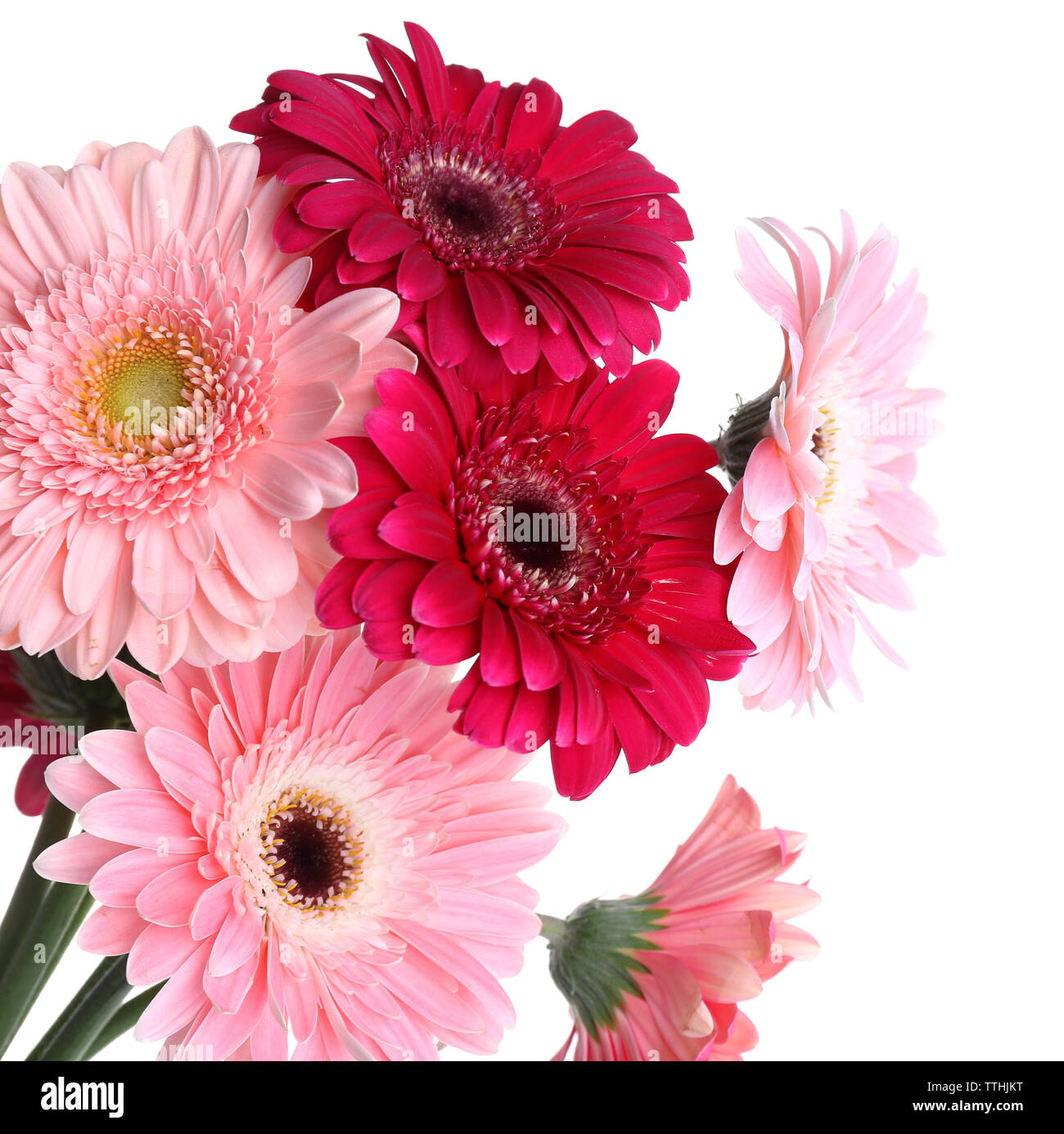 Bouquet of gerbers isolated on white Stock Photo - Alamy