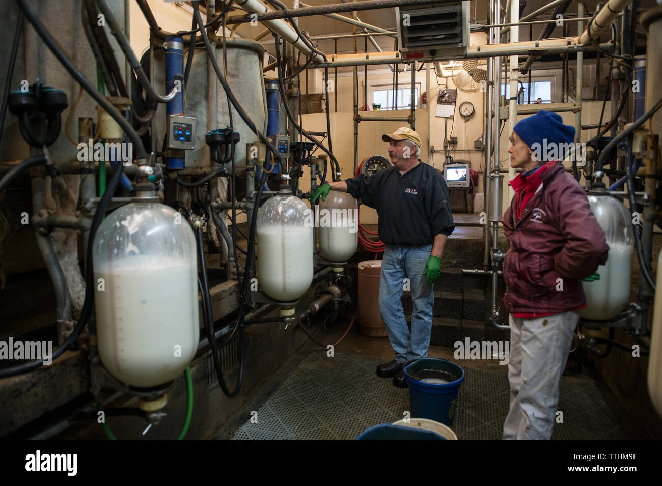 UNITED STATES - November 30, 2015: Mike and Nancy Potts work in the ...