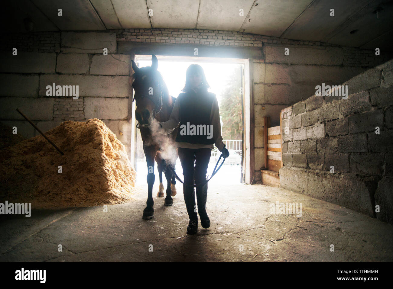 Woman walking with horse in stable Stock Photo - Alamy