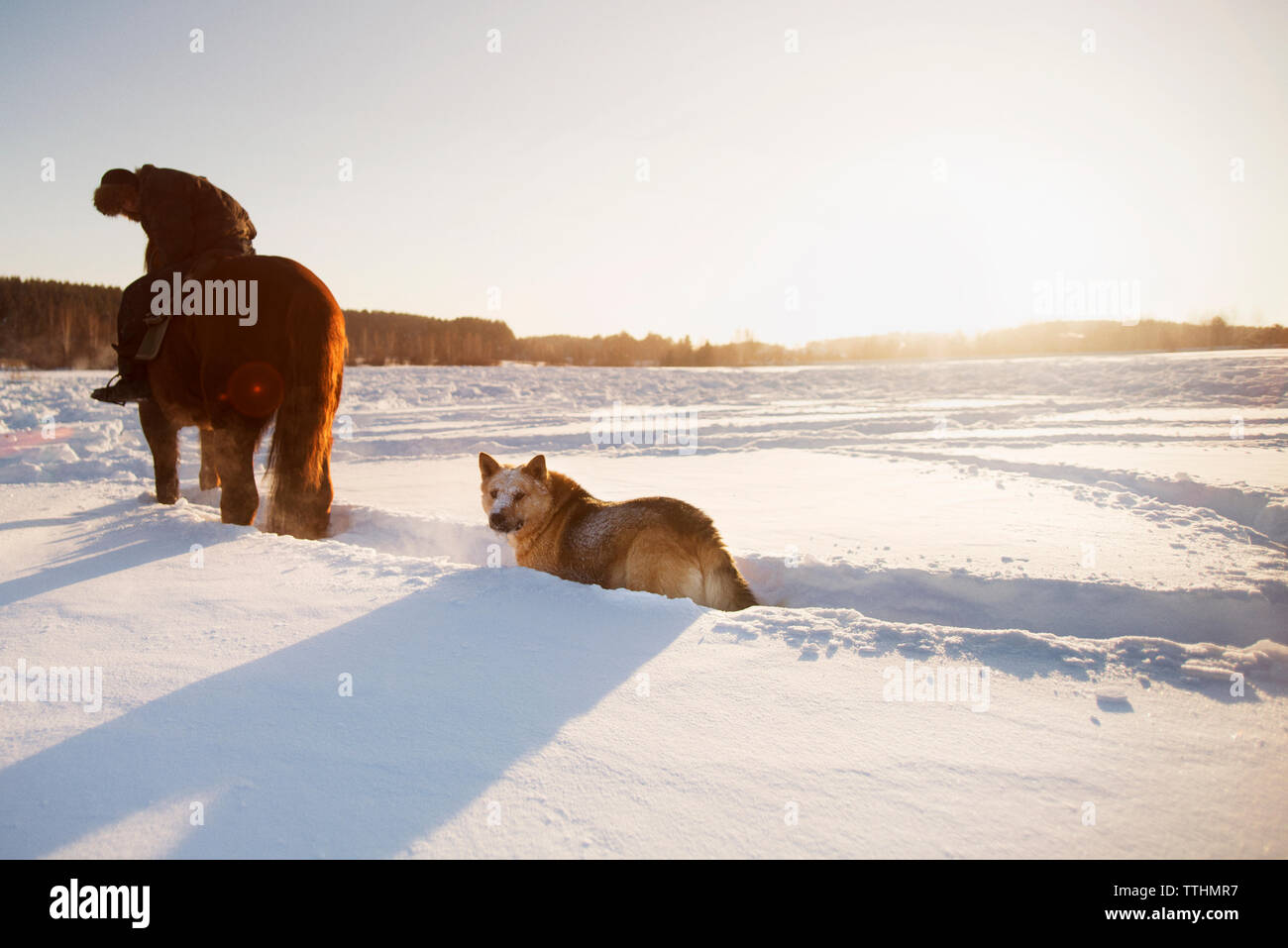 Man sitting on horse hi-res stock photography and images - Alamy