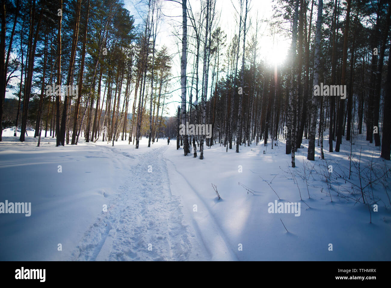 Deep snow sunny day hi-res stock photography and images - Alamy