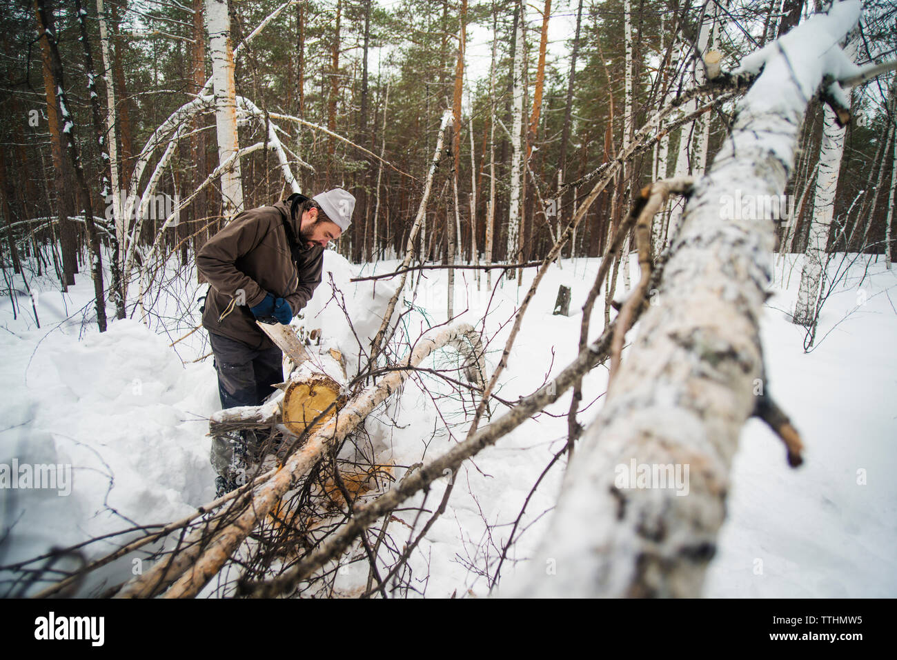 Old man cutting log hi-res stock photography and images - Alamy