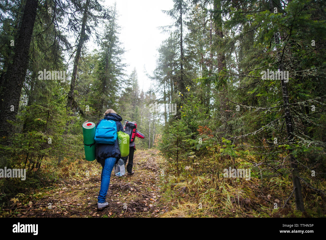 Hiking forest backpacks hi-res stock photography and images - Alamy