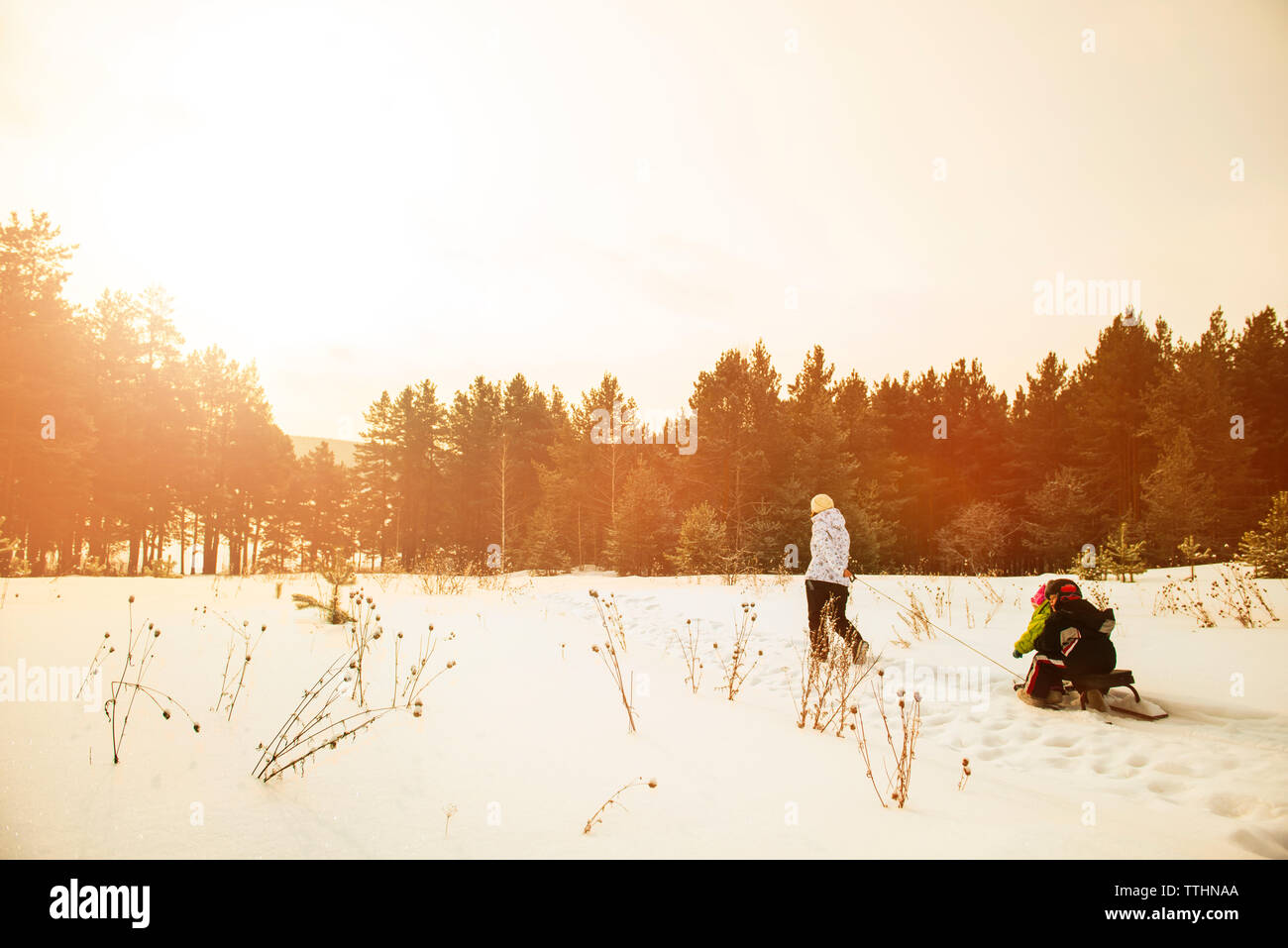 Boy pulling sledge hi-res stock photography and images - Alamy