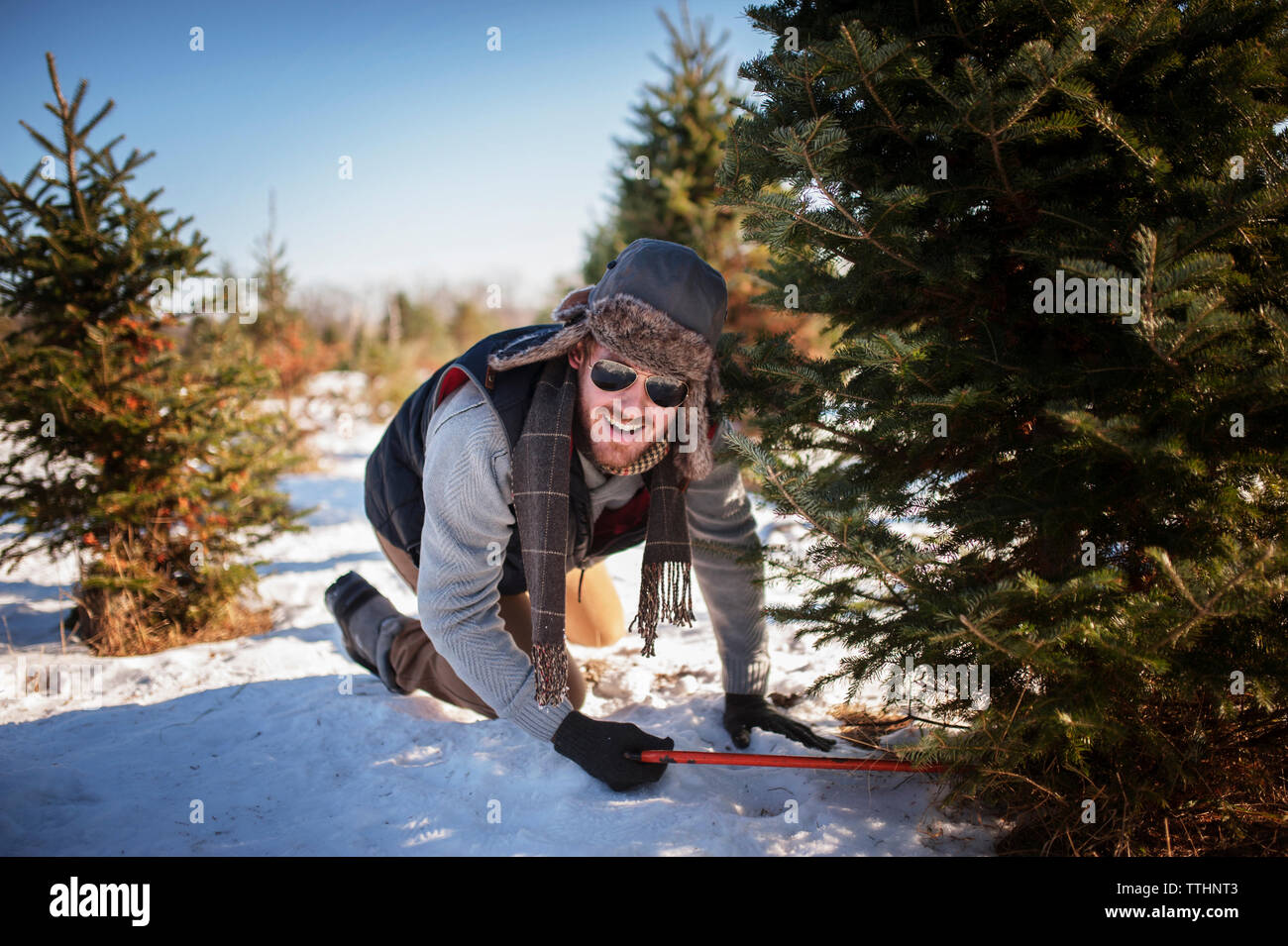 Man cutting tree hi-res stock photography and images - Alamy
