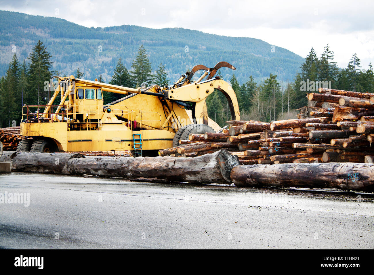 Crane at lumber industry by mountain Stock Photo - Alamy