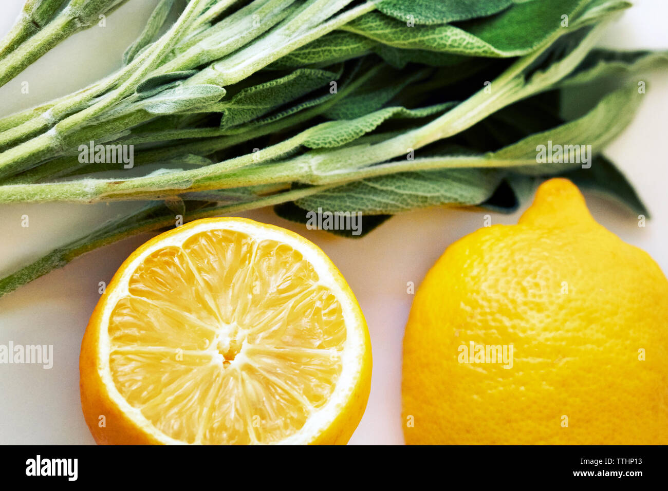 Lemon leaf hi-res stock photography and images - Alamy