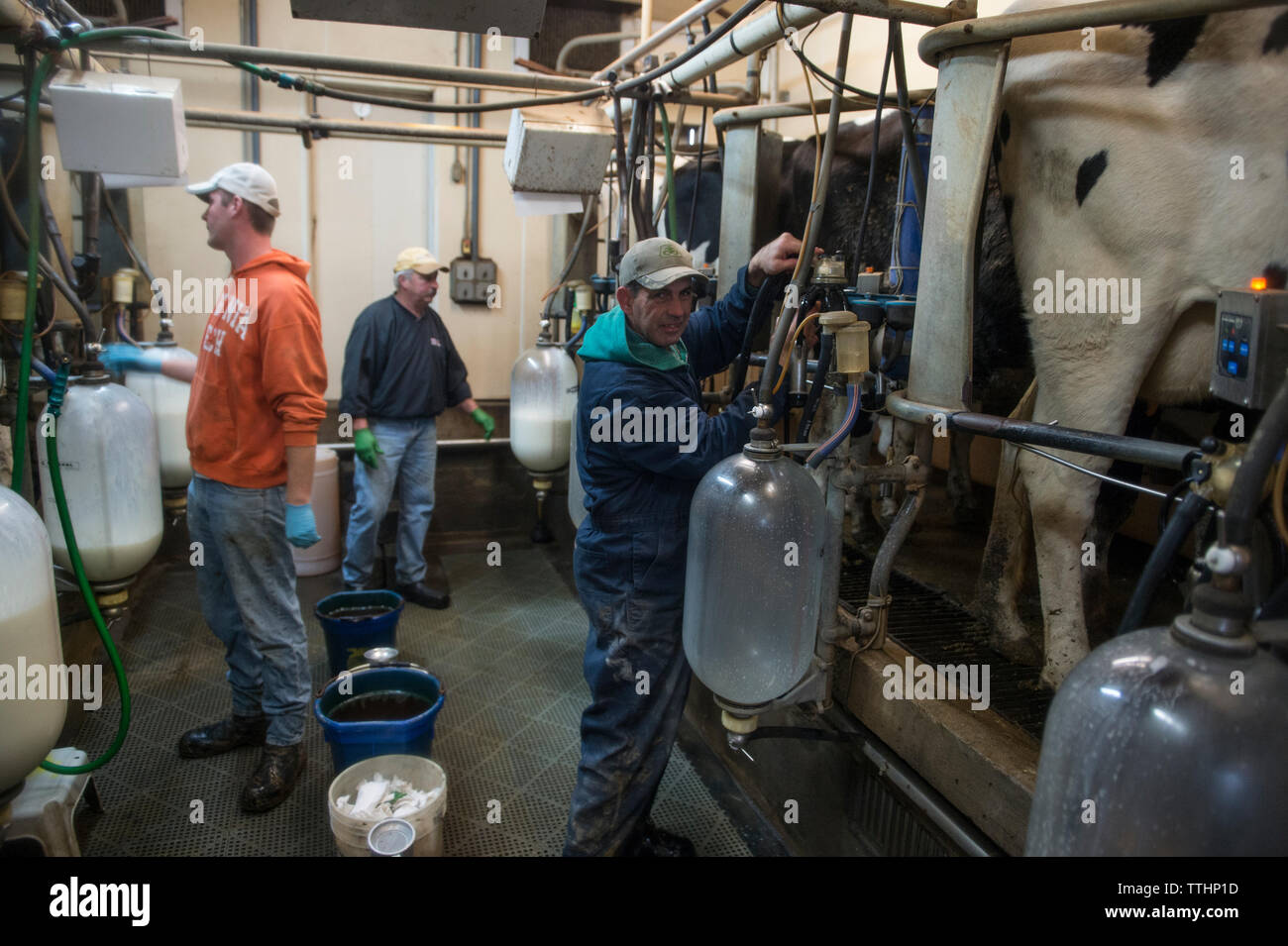 UNITED STATES - November 30, 2015: Chris, Mike and Tim Potts work in ...