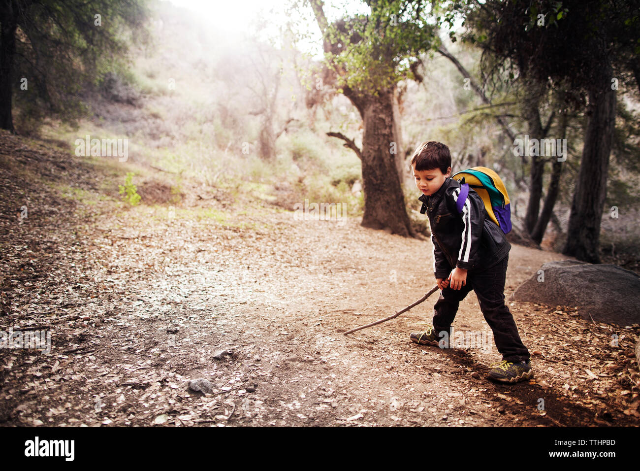 Boy with stick standing on field in forest Stock Photo - Alamy