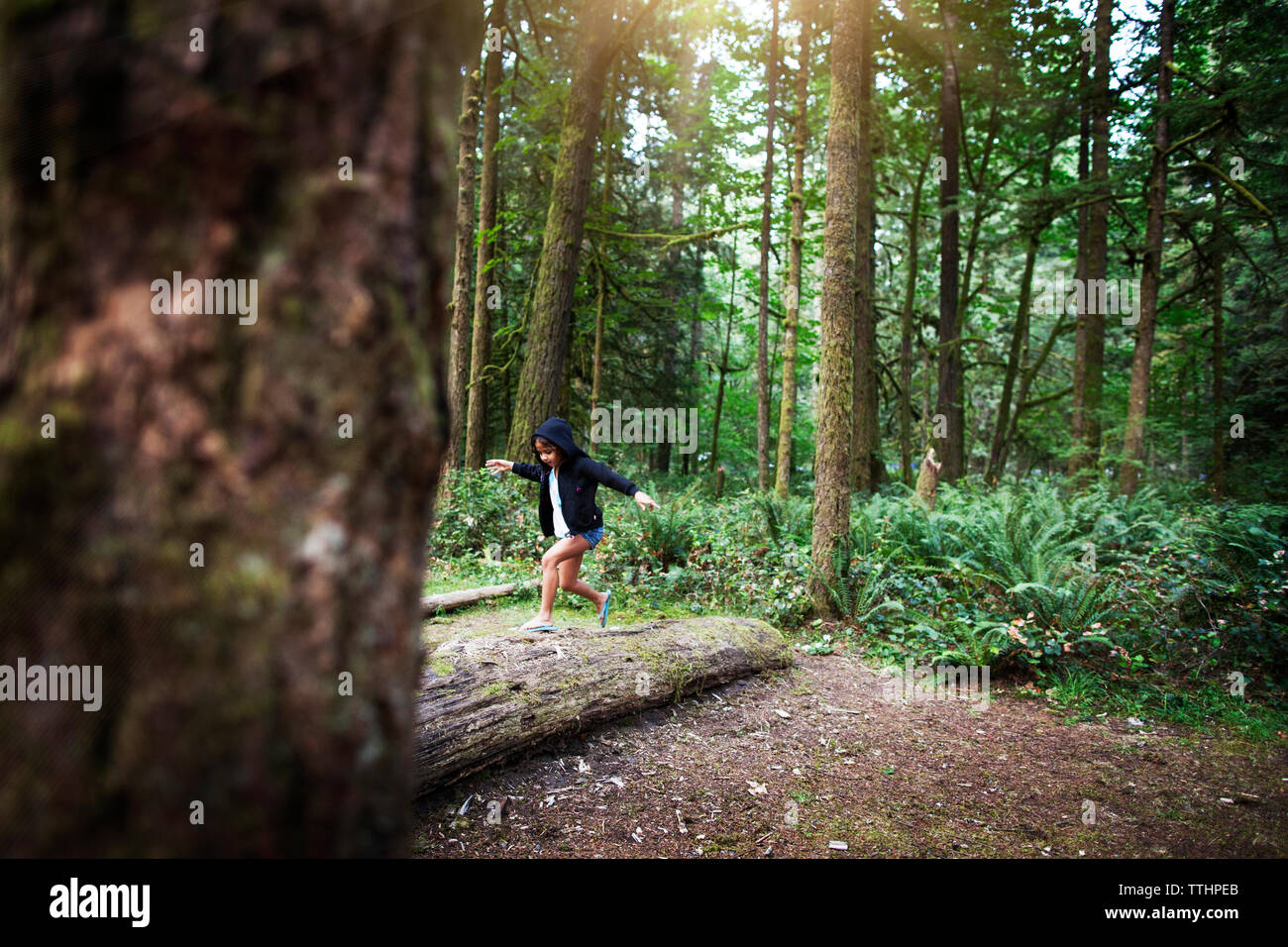 Playful girl running on fallen tree in forest Stock Photo - Alamy