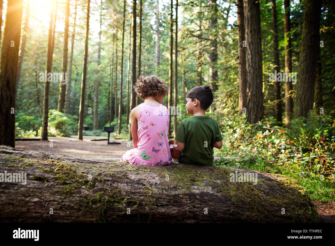 Rear view of children sitting on fallen tree in forest Stock Photo - Alamy