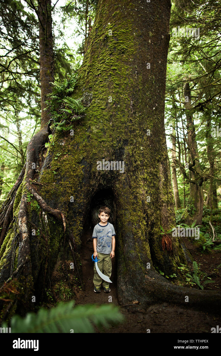 Portrait of boy holding sword toy while standing against tree trunk in ...