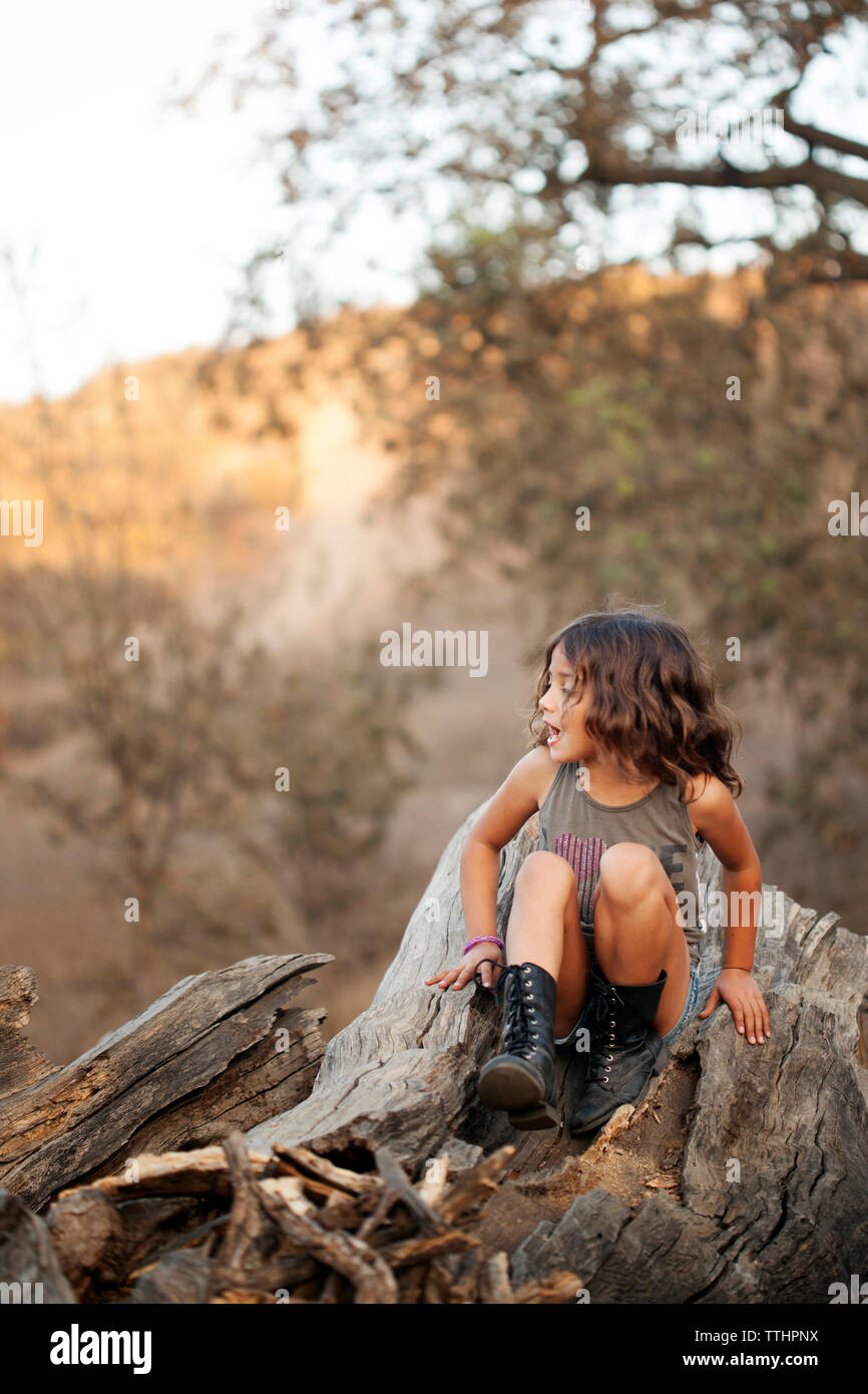 Girl sitting on tree trunk Stock Photo - Alamy