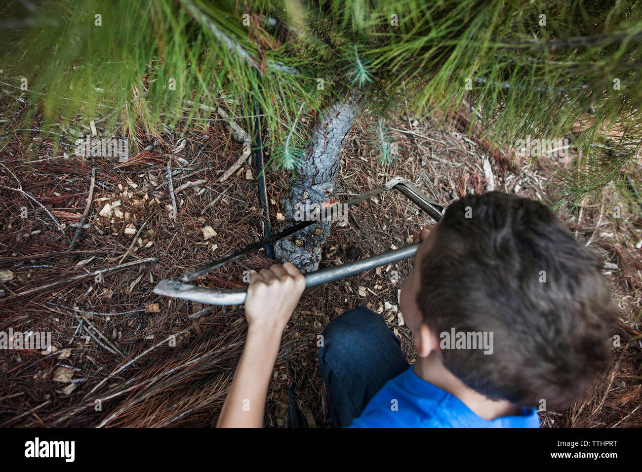 Sawing tree branch sitting hi-res stock photography and images - Alamy