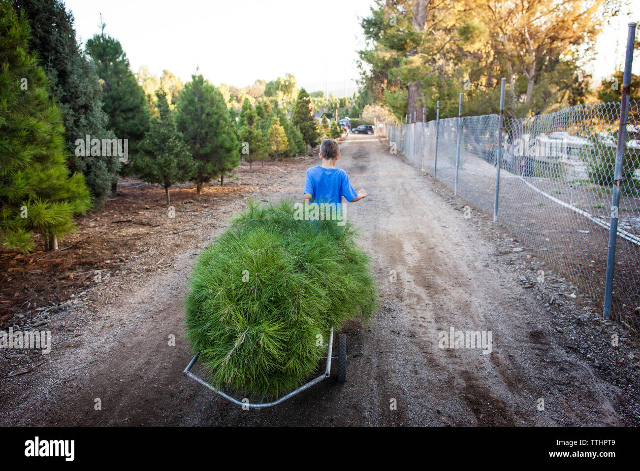 Push cart hi-res stock photography and images - Alamy