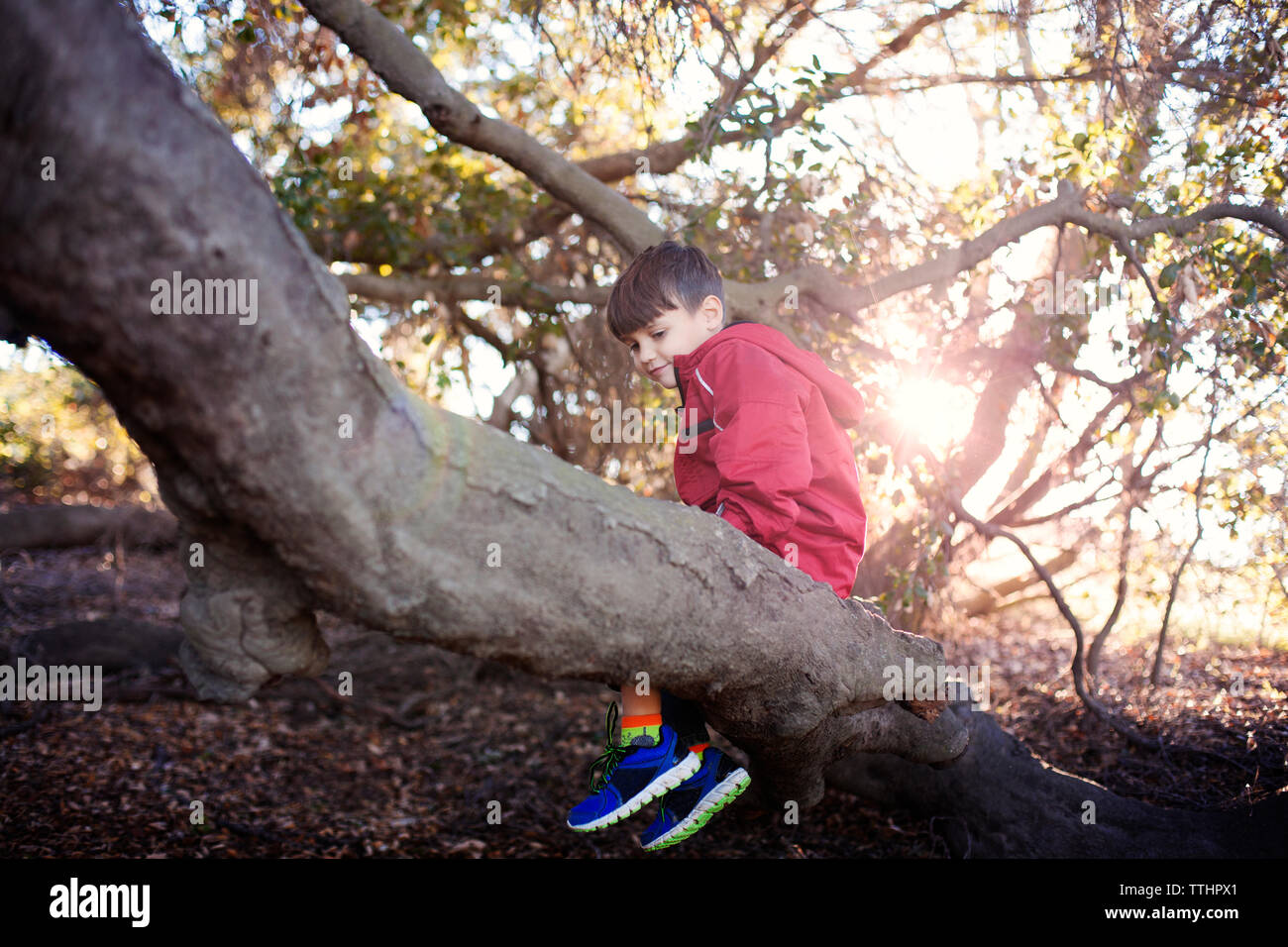 Boy trunks sitting hi-res stock photography and images - Alamy